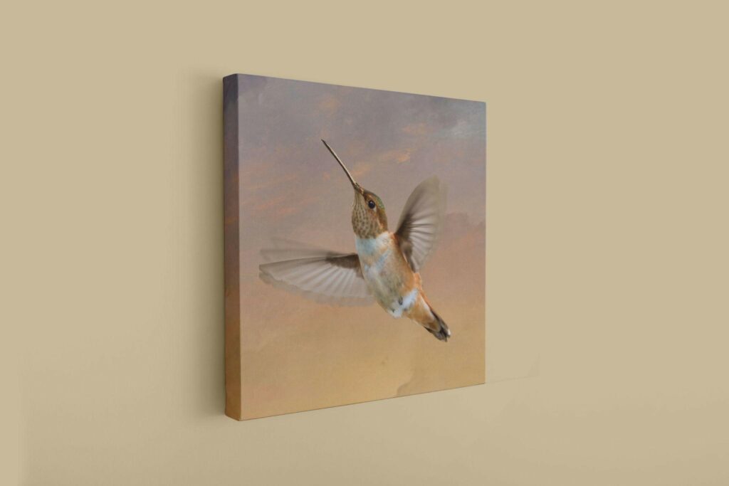 What Type Of Canvas Is Best For Printing?